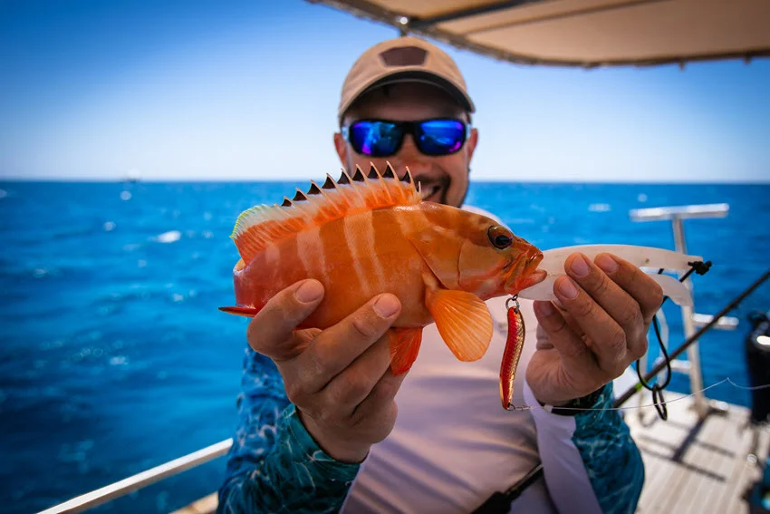 Best Red Snapper Lures: The Angler's Guide (Updated 2025) | Blog
