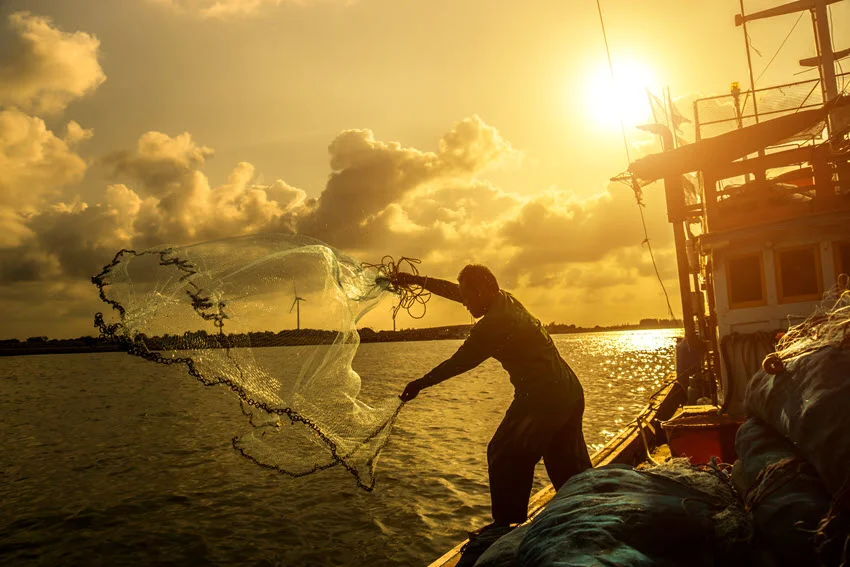 How to Catch Crabs: The Angler's Guide (Updated 2025) | Blog